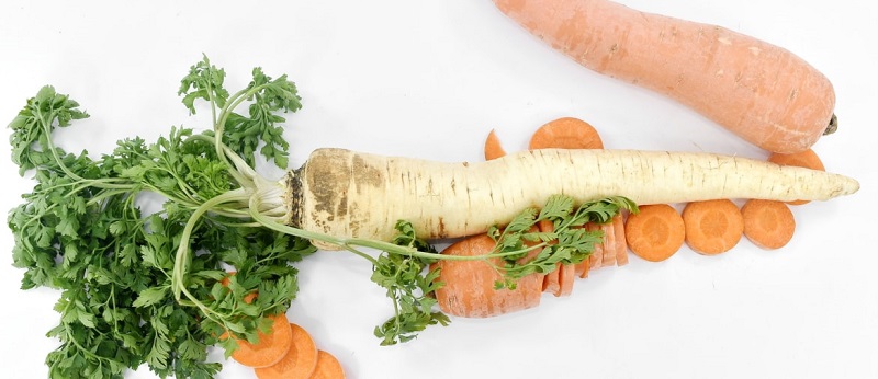 Iako je teško uzgajati ren, to se itekako isplati | Kamatica