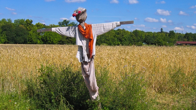 Može li čudnije: Radno mesto - strašilo | Kamatica